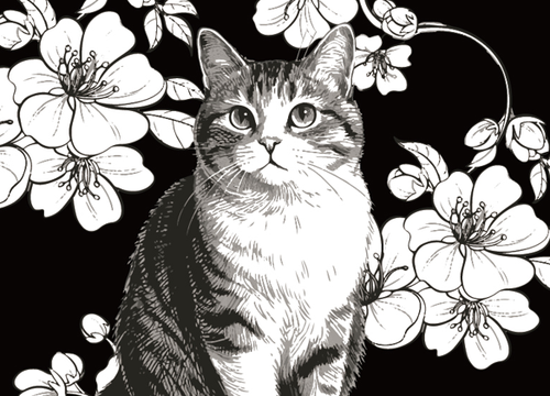 Professional Logo Design – EnjoyHC